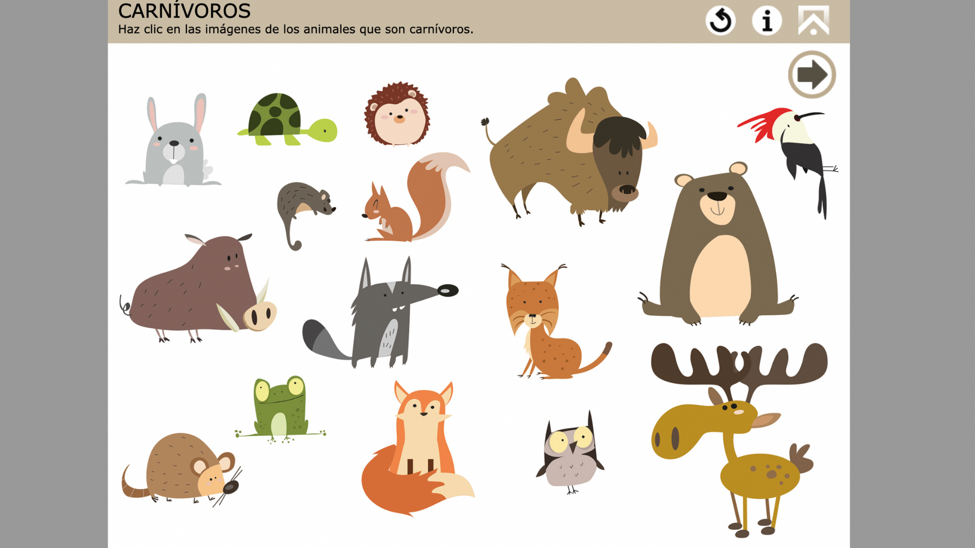 Animales Carnívoros