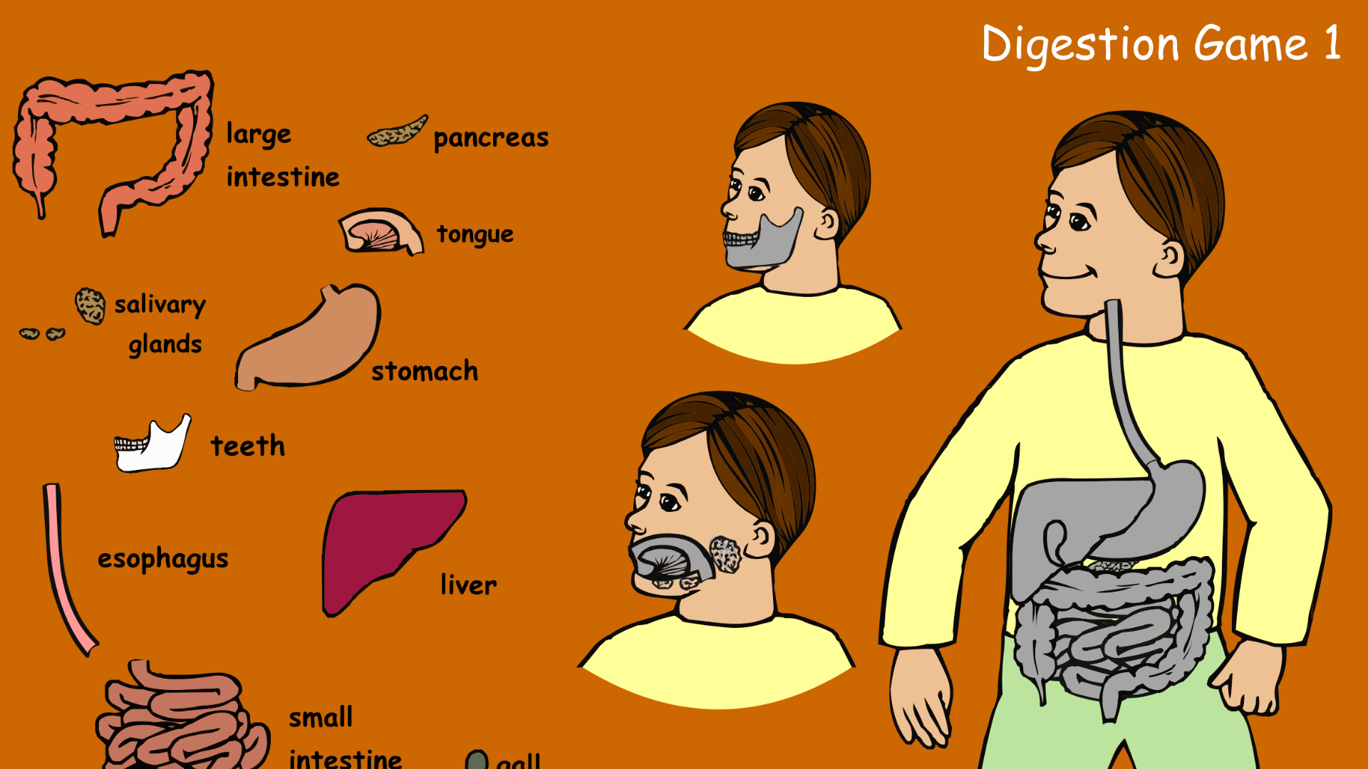 Digestion game • cristic